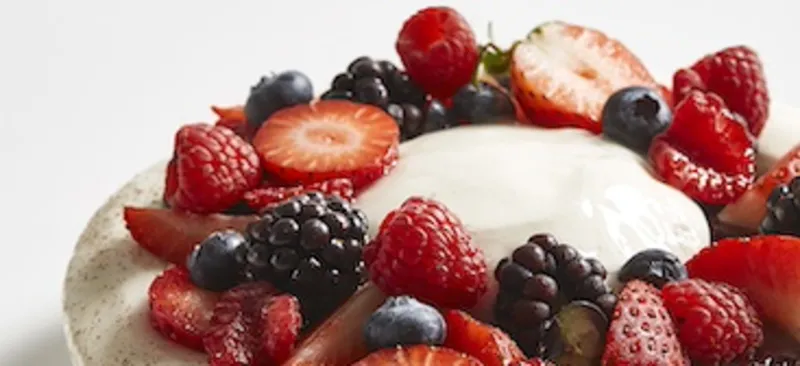 Entremets Aux Fruits Rouges - Puratos