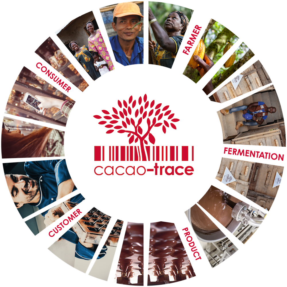 Cacao-Trace, notre programme de cacao durable - Puratos