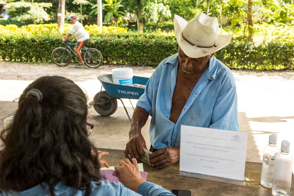 Cacao-Trace, notre programme de cacao durable - Puratos